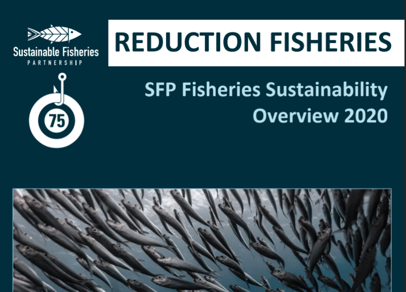 Reduction Fisheries Reports - Sustainable Fisheries Partnership