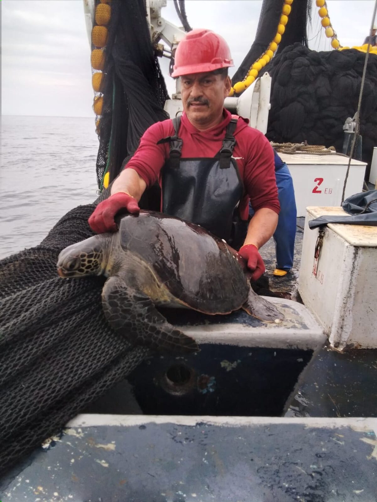 La paciencia y la colaboración superan el escepticismo para transformar ...